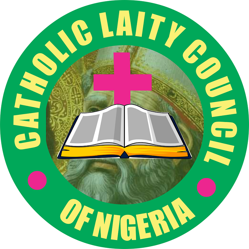 For Pope Francis, the Catholic laity can transform the world – SACC ...